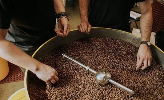 Dynamic Coffee Roasters