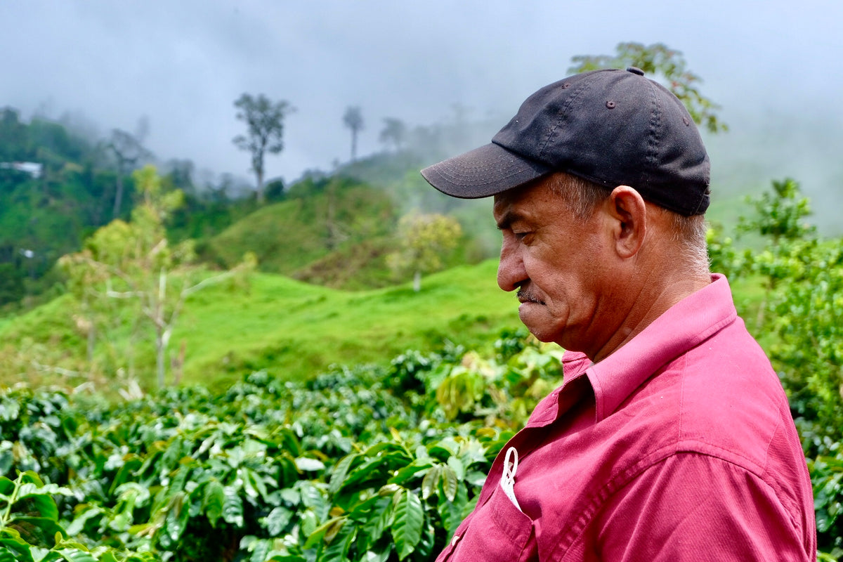 Dynamic Coffee Roasters