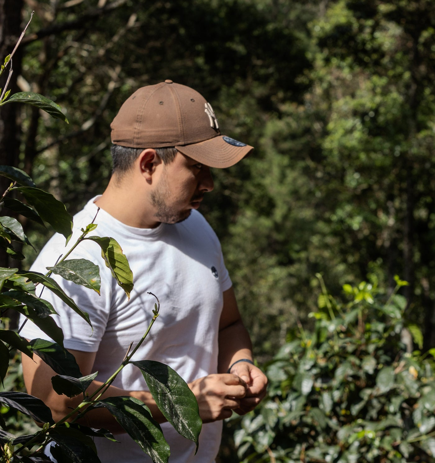 Dynamic Coffee Roasters